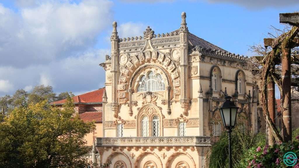 VISIT THE BUÇACO FOREST | Surfer Girl On The Move