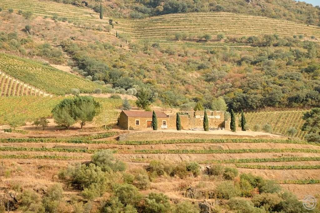 Douro Historical Train — All Aboard! - Marlene On The Move