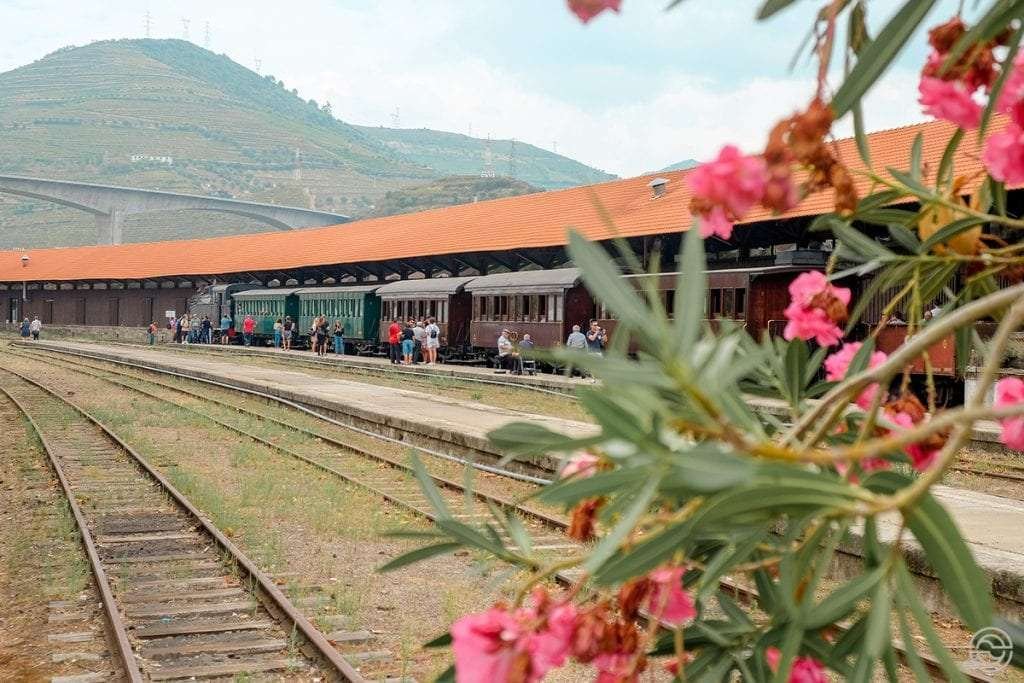 Douro Historical Train — All Aboard! - Marlene On The Move