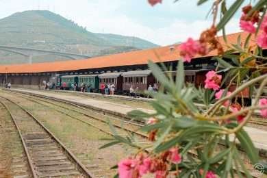 Douro Historical Train — All Aboard! - Marlene On The Move