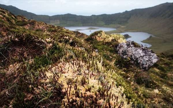 Corvo - Journey to the most isolated island of the Azores - MOTM