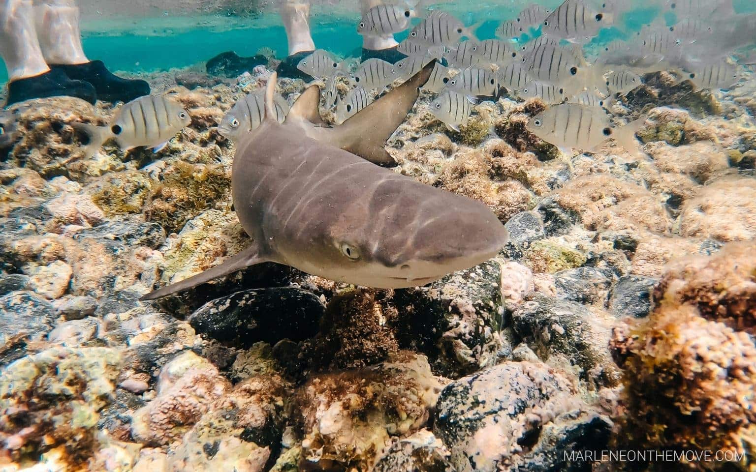 Sal Island — A complete guide to go explore | MarleneOnTheMove